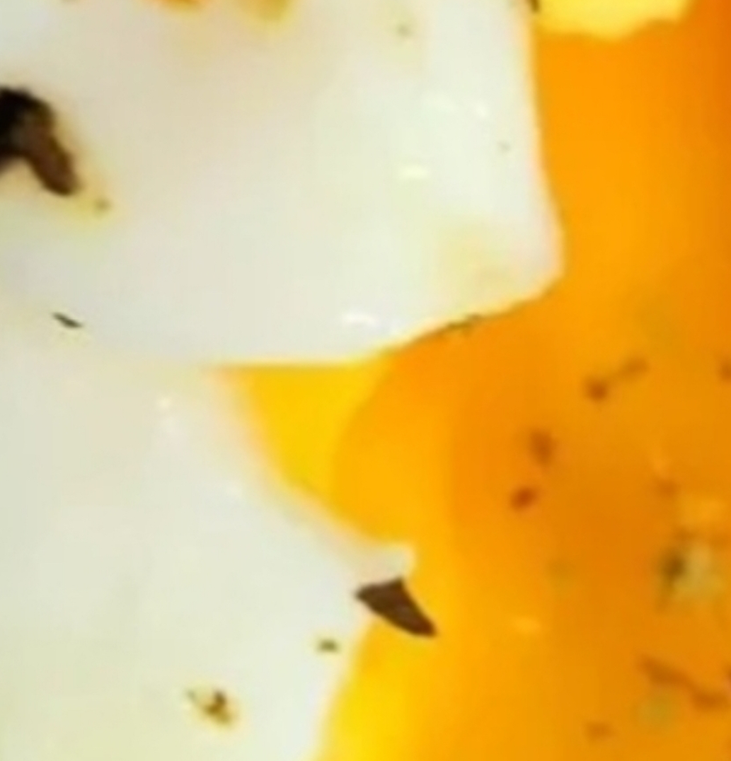 AIR FRYER POACHED EGGS – NAH COOKING